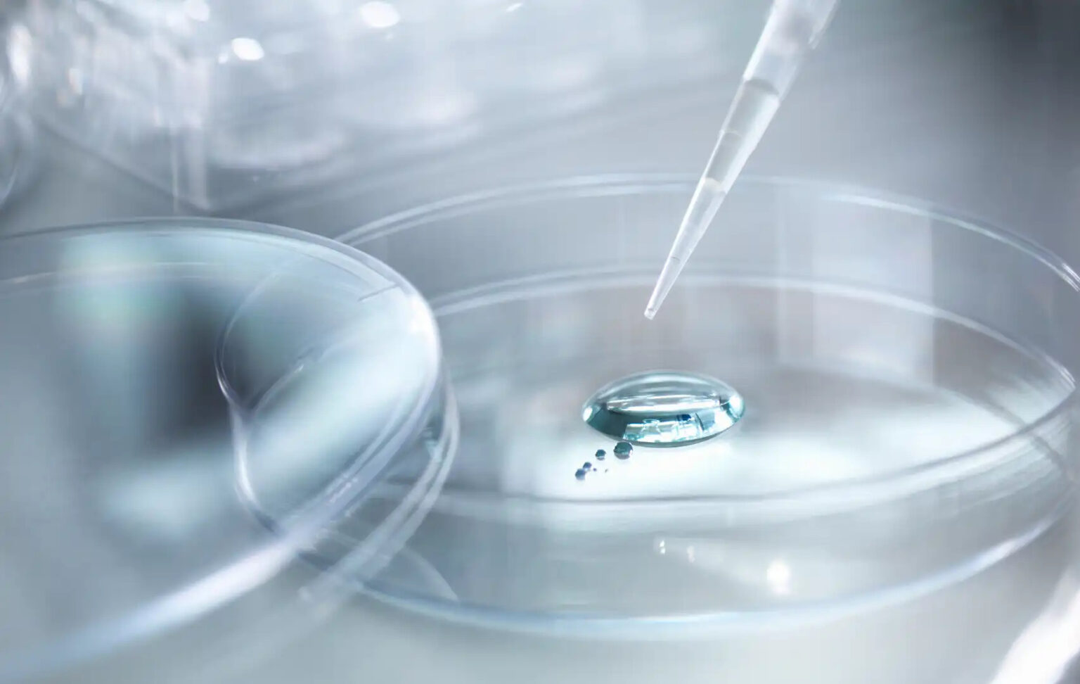 IVF Malpractice & Fertility Law Attorneys | IVF Law Group